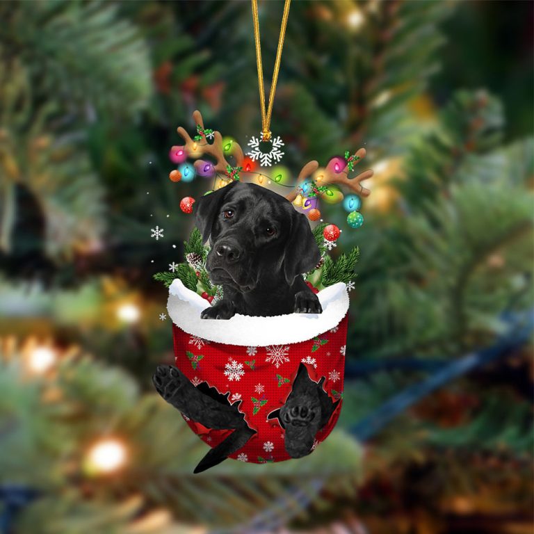 Black Labrador-In Christmas Pocket Two Sides Christmas Plastic Hanging ...